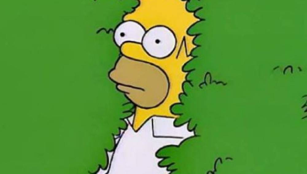 Homero manda un gif de sí mismo a Lisa, ¡y se viraliza!