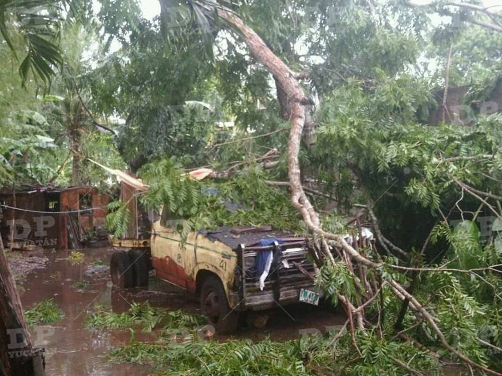 Turbonada causa estragos en Kanxoc