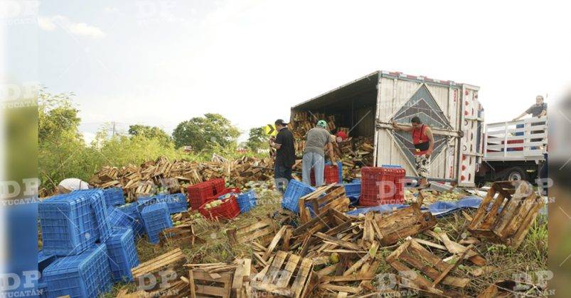 Trailer con 18 ton de mangos vuelca y deja su mercancía regada en el ...