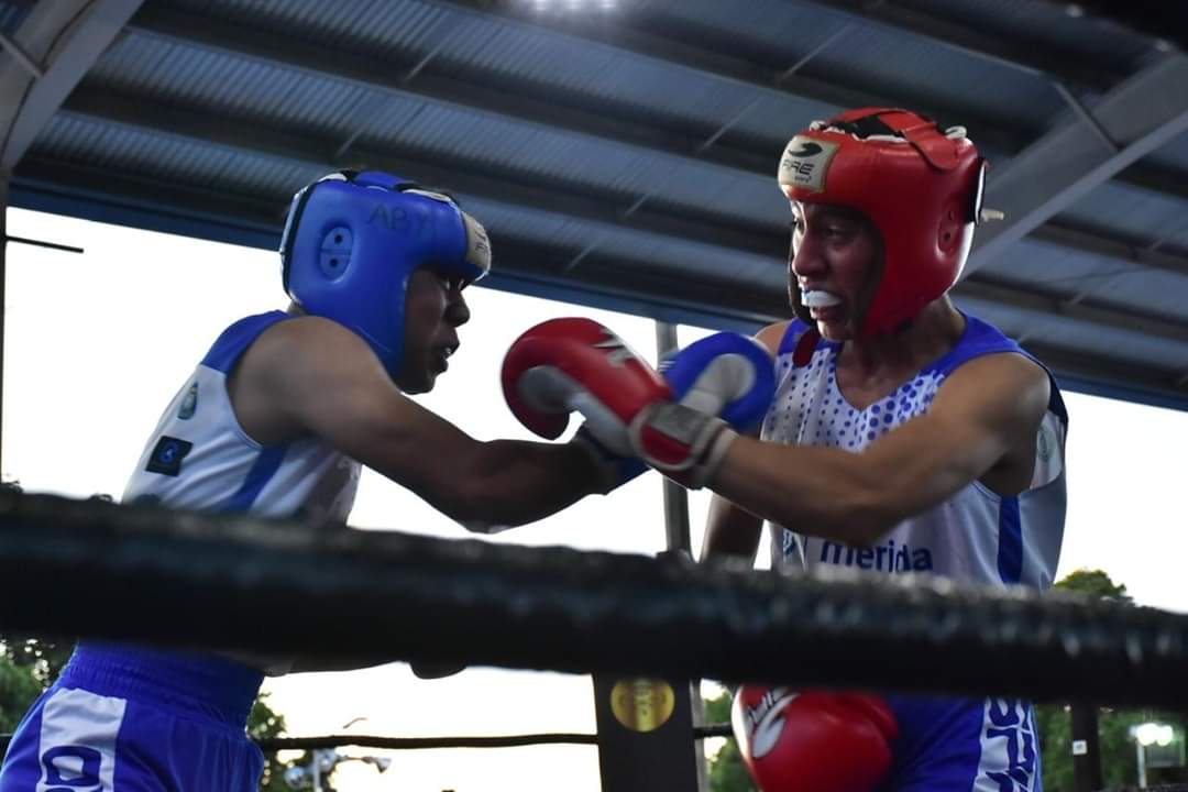 Peleas de box amateur regresan a SIPSE