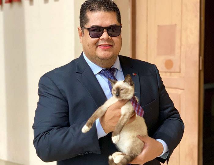 Convierten a gatito callejero en 'abogado' (en serio)
