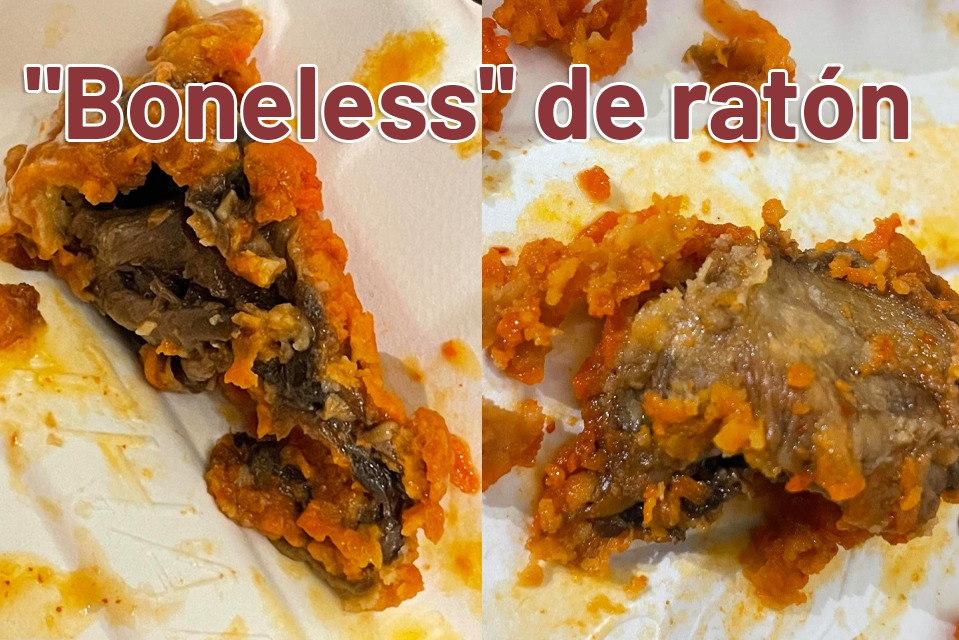 México: Creyendo que eran alitas da mordida a ratón empanizado