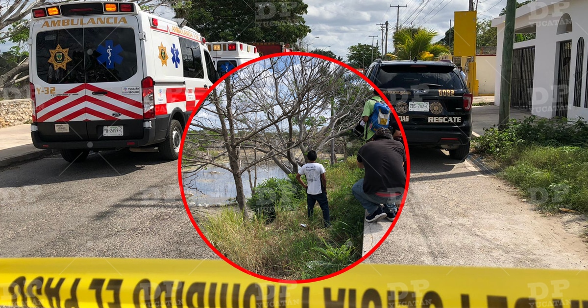 Mérida: Rescatan a sujeto que cayó desde una altura de 7 metros en el ...
