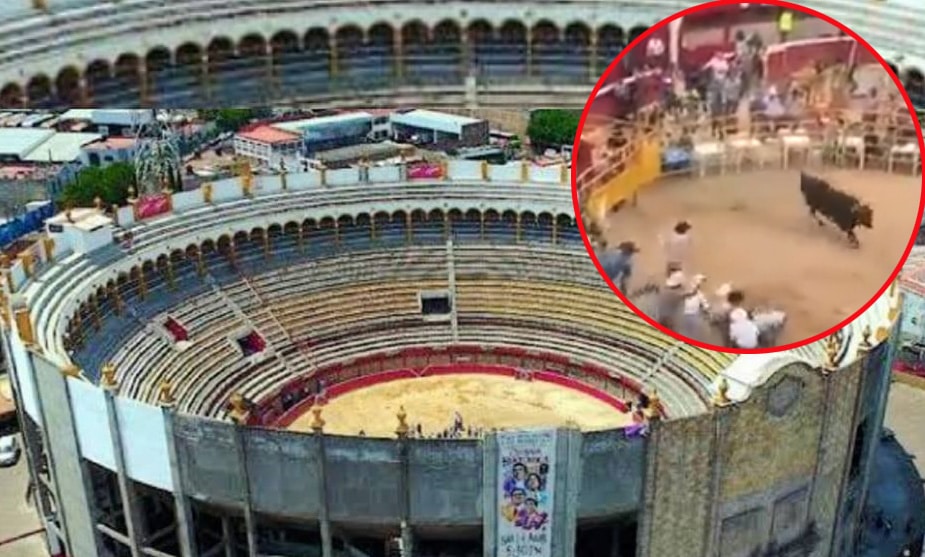 Toro pisotea a jinete hasta dejarlo en coma (VIDEO FUERTE)